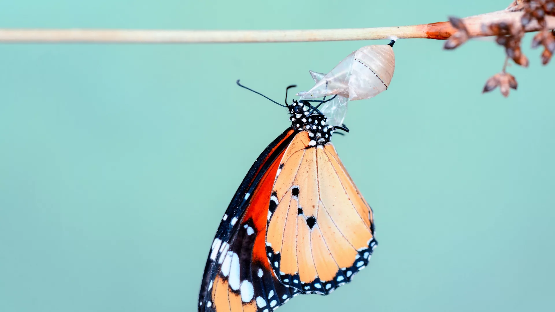 Le chemin vers le bien-être : ce qu'une séance énergétique peut (et ne ...